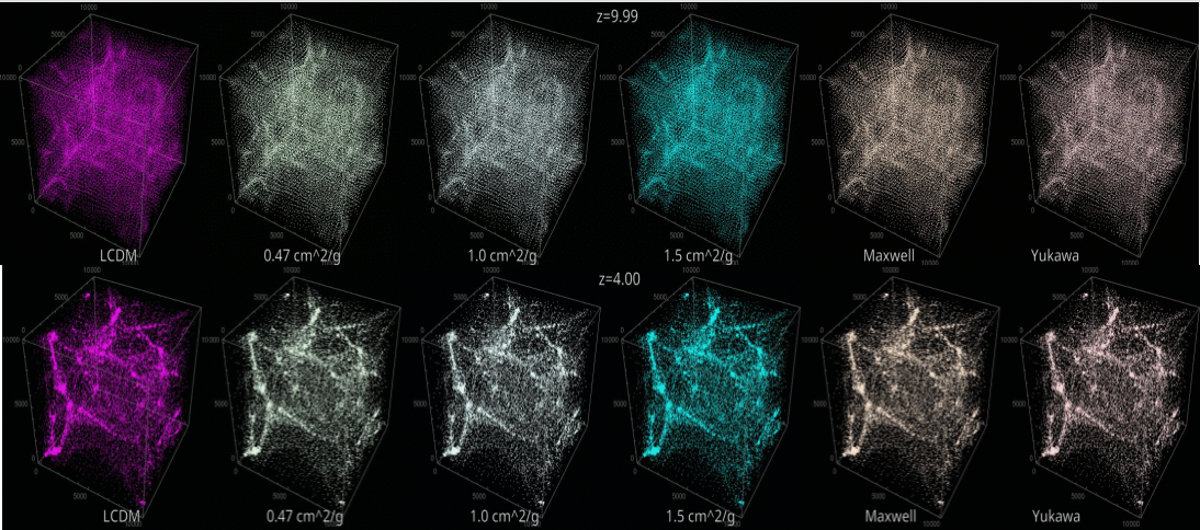 Dark Matter Self Interactions and its Impact on Large Scale Structures ...